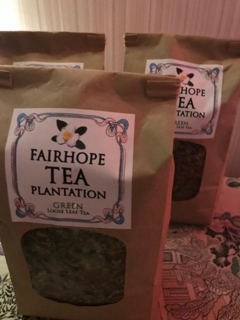 Photo Gallery – Fairhope Tea Plantation